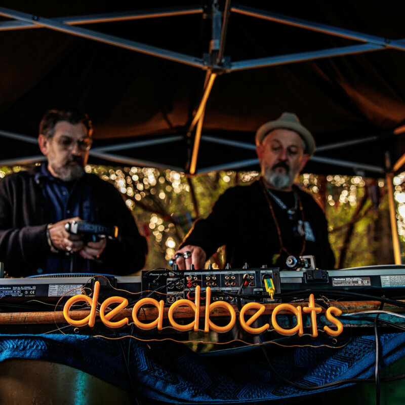 Latitude Festival | Artists